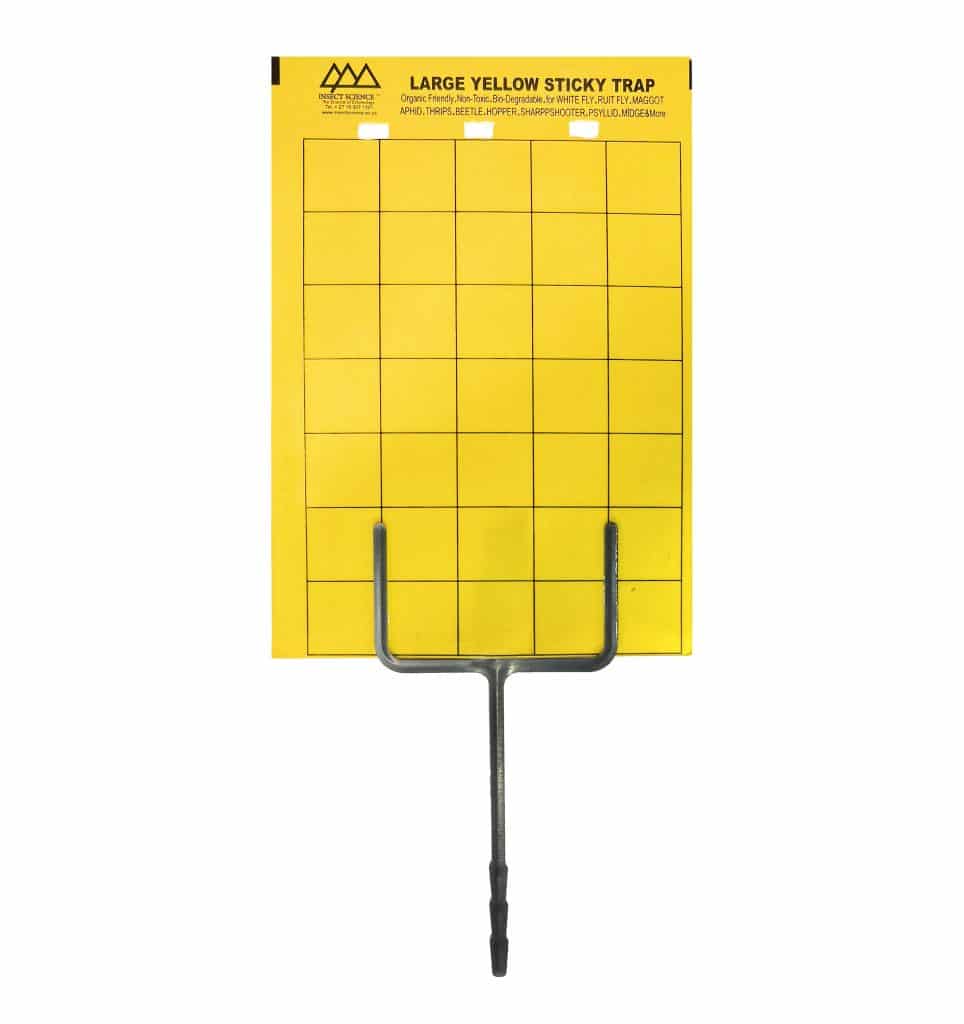 Sticky Traps for Thrips, Aphids, Leaf miners & Whitefly